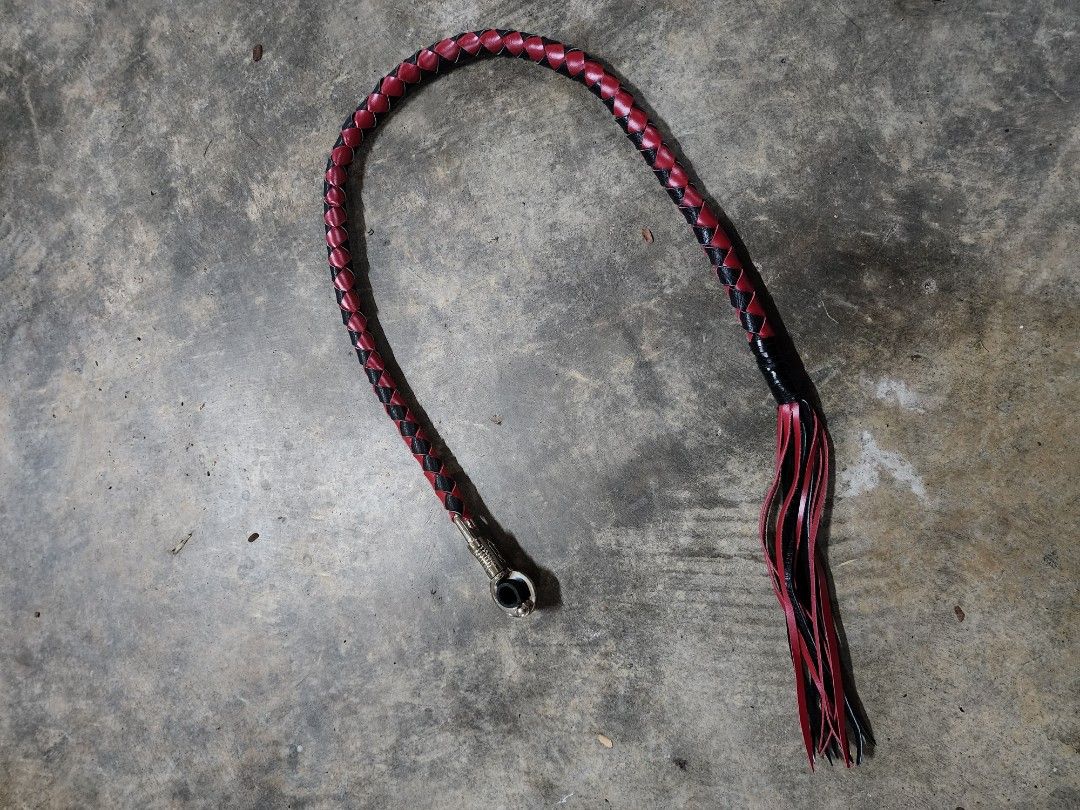 Harley Motorcycle Get Back Whip, Motorcycles, Motorcycle Accessories on ...