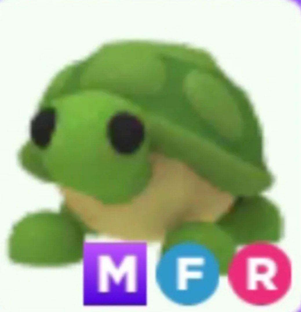 Roblox adopt me MFR turtle, 興趣及遊戲, 玩具 & 遊戲類 - Carousell