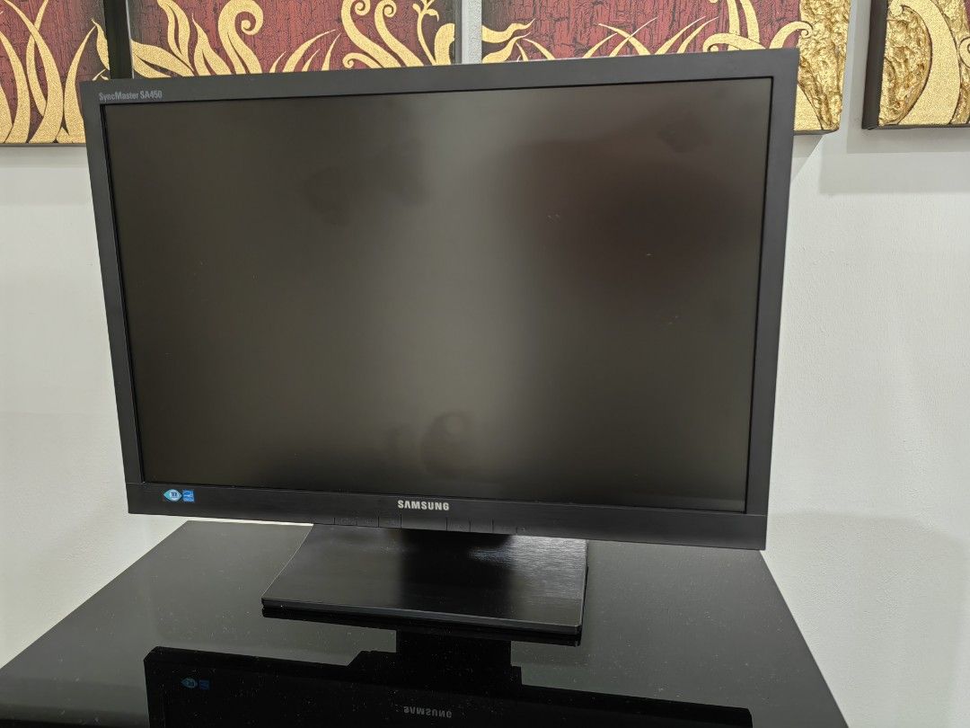 Samsung syncmaster SA450 24inch wide screen, Computers & Tech, Parts ...