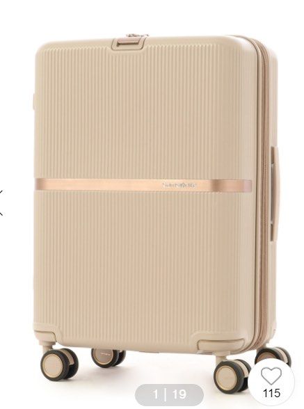 snidel x samsonite luggage, Hobbies & Toys, Travel, Luggage on Carousell