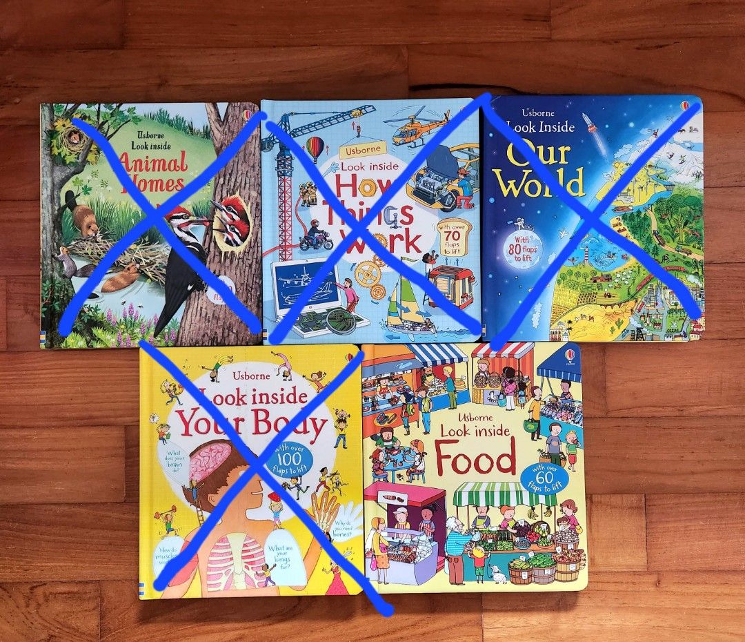 Usborne Look Inside Lift-the-Flap book set, Hobbies & Toys, Books ...