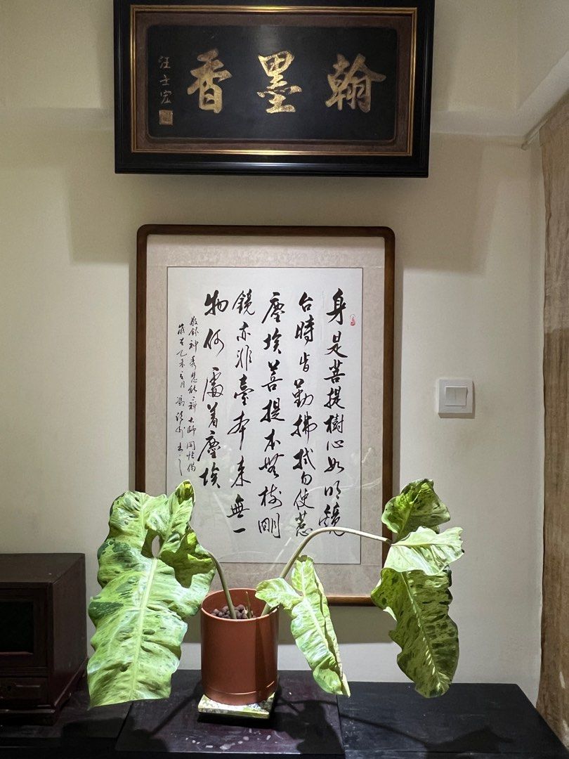 Vintage Chinese signage, Furniture & Home Living, Home Decor, Wall ...