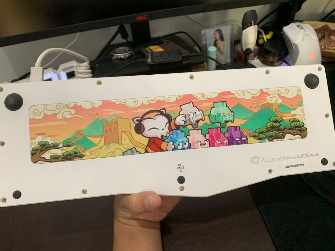 Akko Alice pro plus / Akko crystal switch / Gaming keyboard, Computers ...