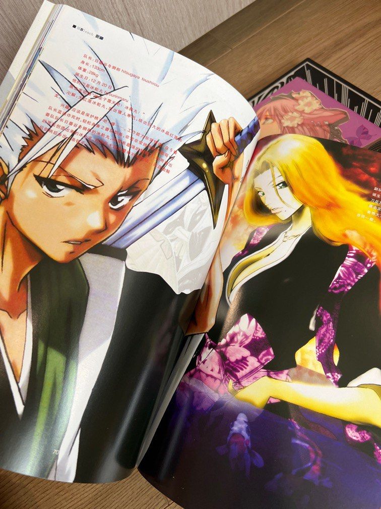 Bleach 2006 Artbook (Chinese ver), Hobbies & Toys, Books & Magazines ...