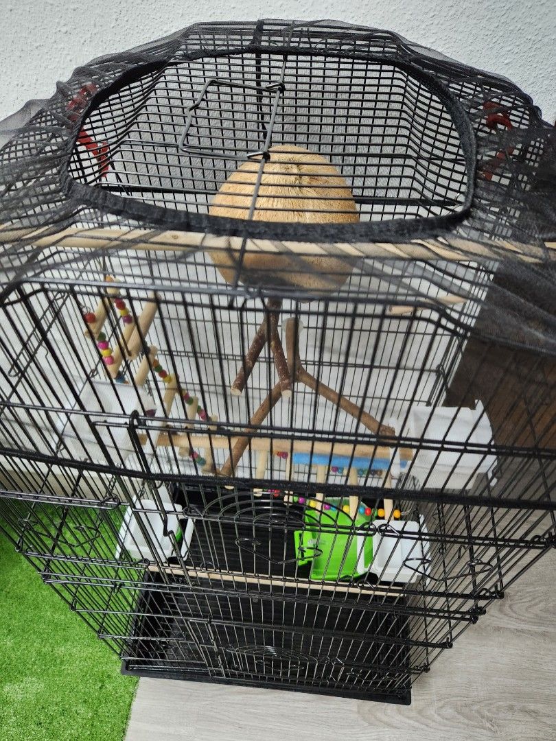 Brand new Bird cage (assembled), Pet Supplies, Homes & Other Pet ...