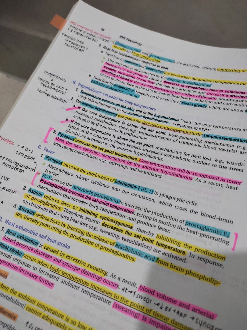 BRS Physiologt Seventh Edition (Short Bond Paper Size), Hobbies & Toys ...