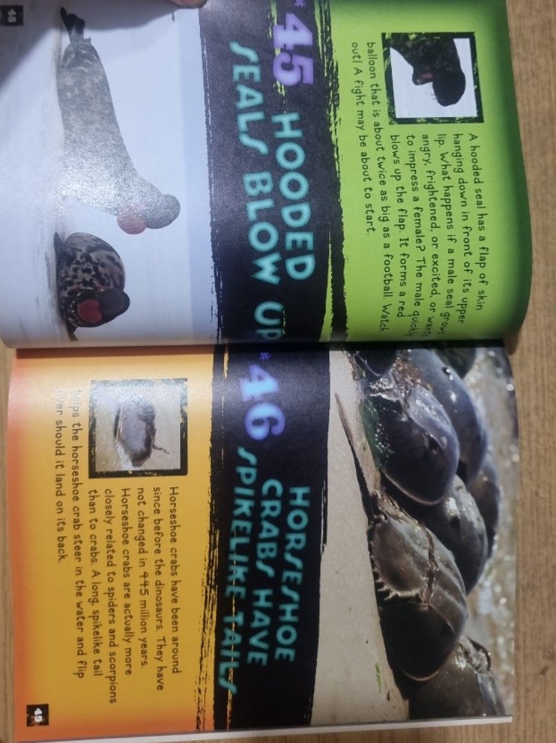 Dogs' Breed Book & Freaky animals, Hobbies & Toys, Books & Magazines ...