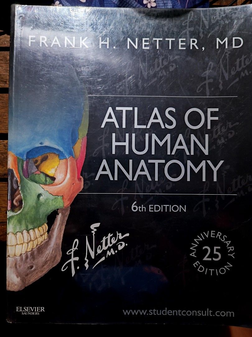 Frank H. Netter Atlas of Human Anatomy 6th Edition (Colored), Hobbies ...