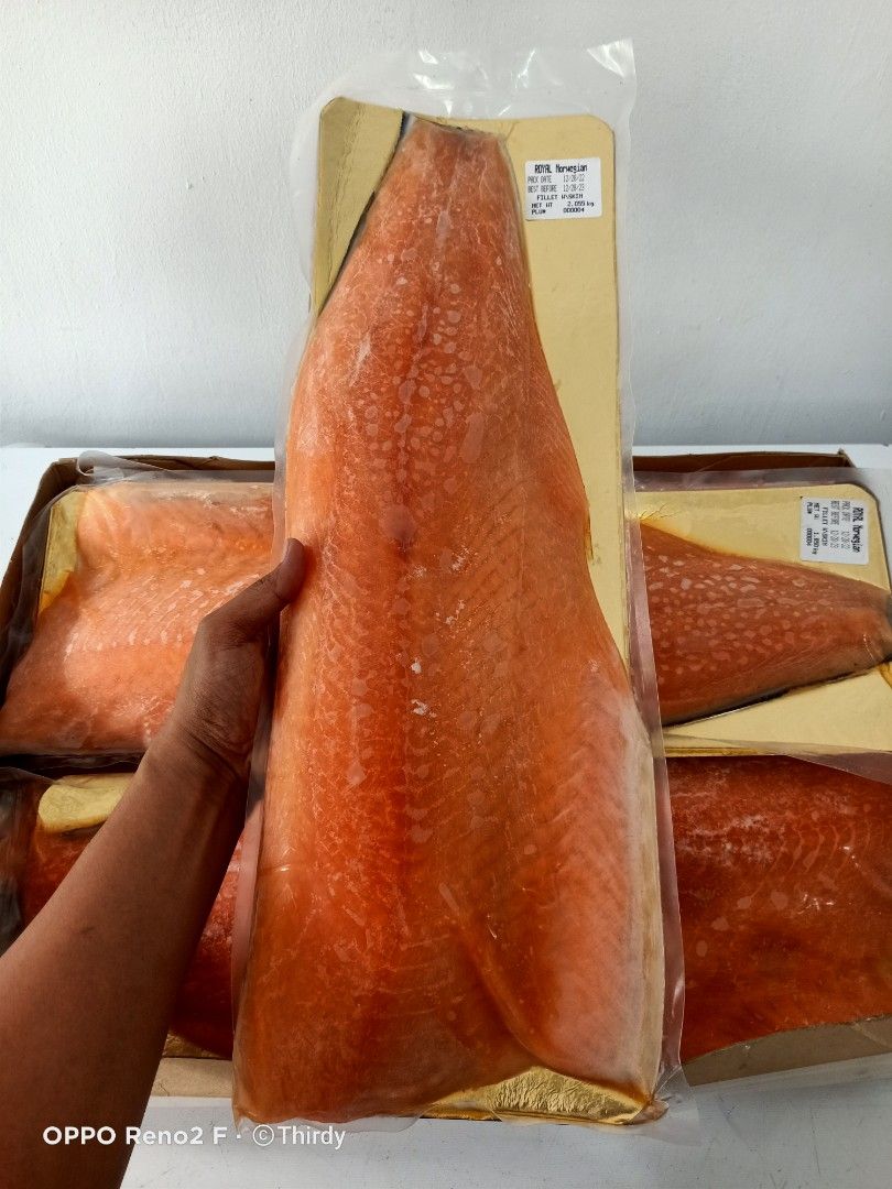 FROZEN SALMON FILLET SKIN ON, Food & Drinks, Chilled & Frozen Food on ...