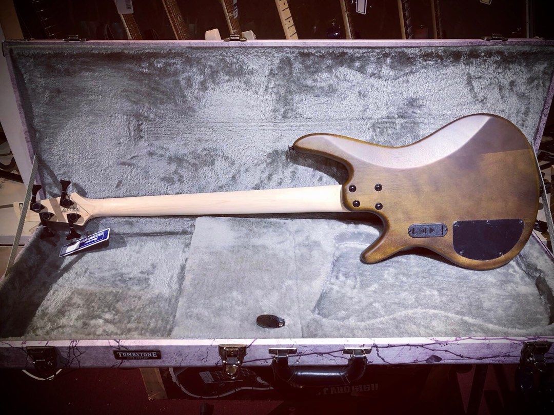 IBANEZ GSR SERIES GSR200B WNF 4 STRING BASS GUITAR WITH MAHOGANY BODY ...