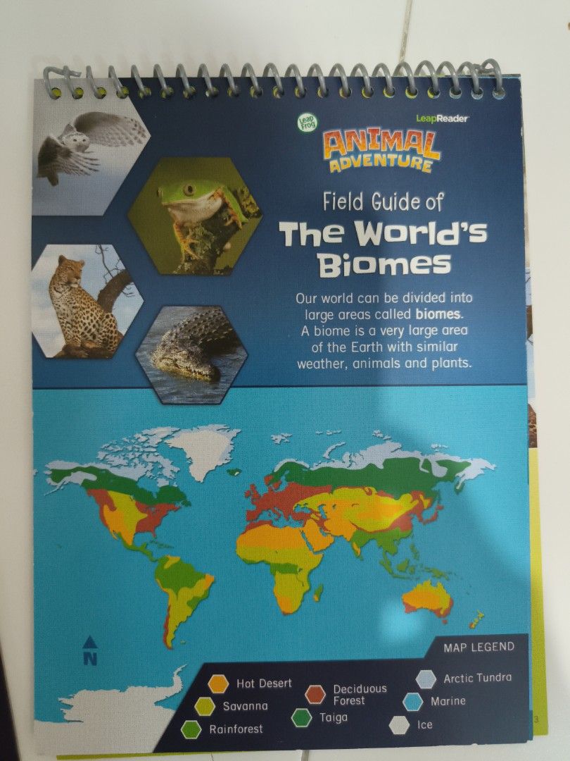 Leapfrog leapreader leap reader set, Hobbies & Toys, Books & Magazines ...