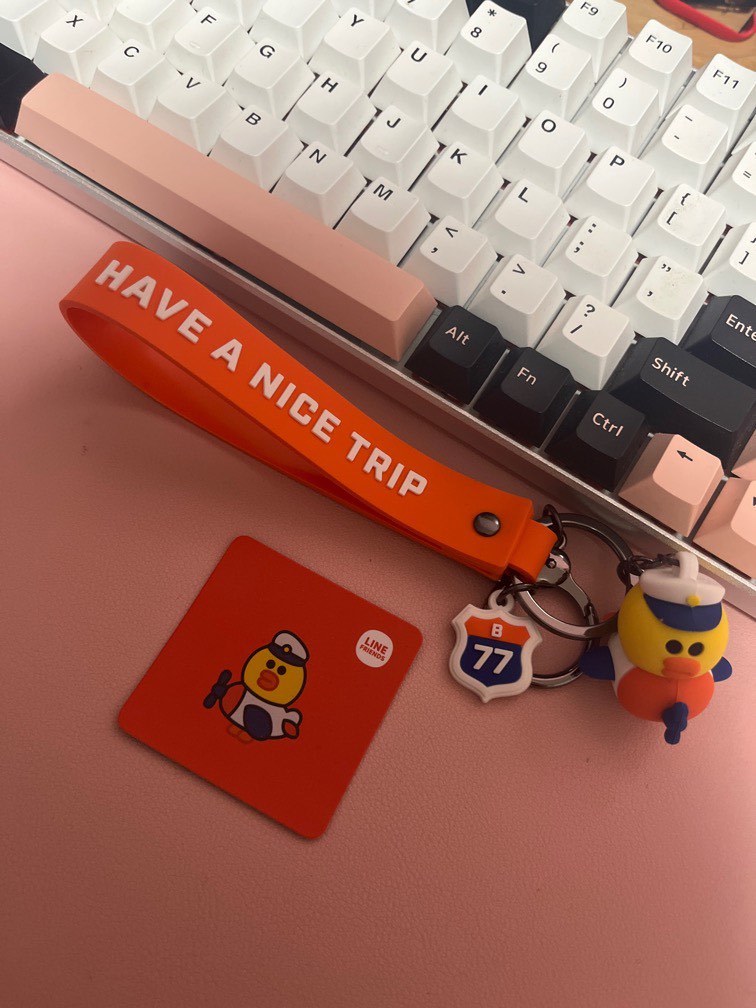 LINE Friends Sally keychain, Hobbies & Toys, Toys & Games on Carousell