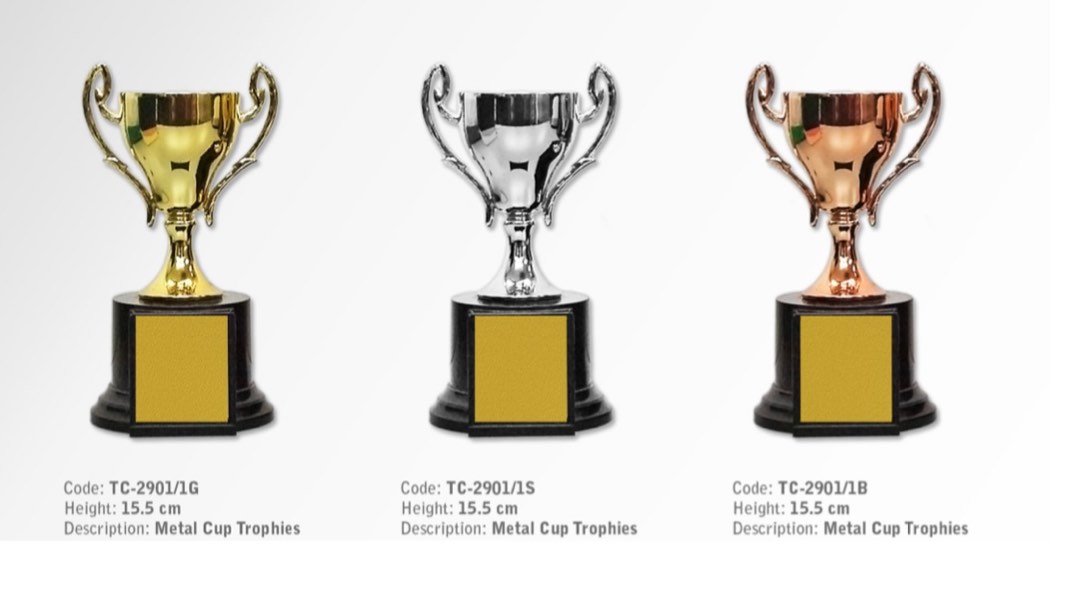 Metal Trophy (Gold / Silver/ Brown), Hobbies & Toys, Stationery & Craft ...