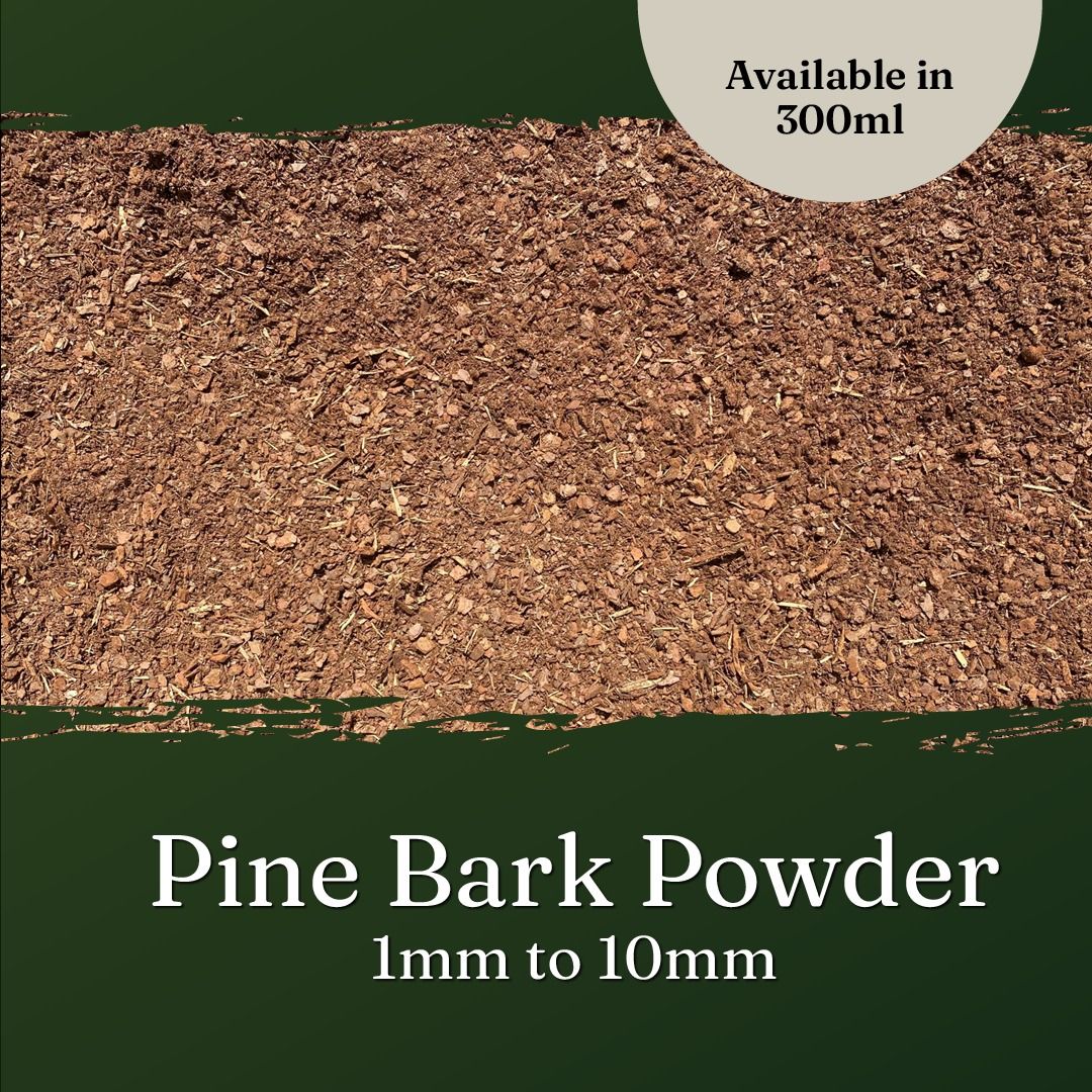 Perlite, Pine Bark, Pumice, Coco Peat, LECA (Good for Aroid, Orchid ...