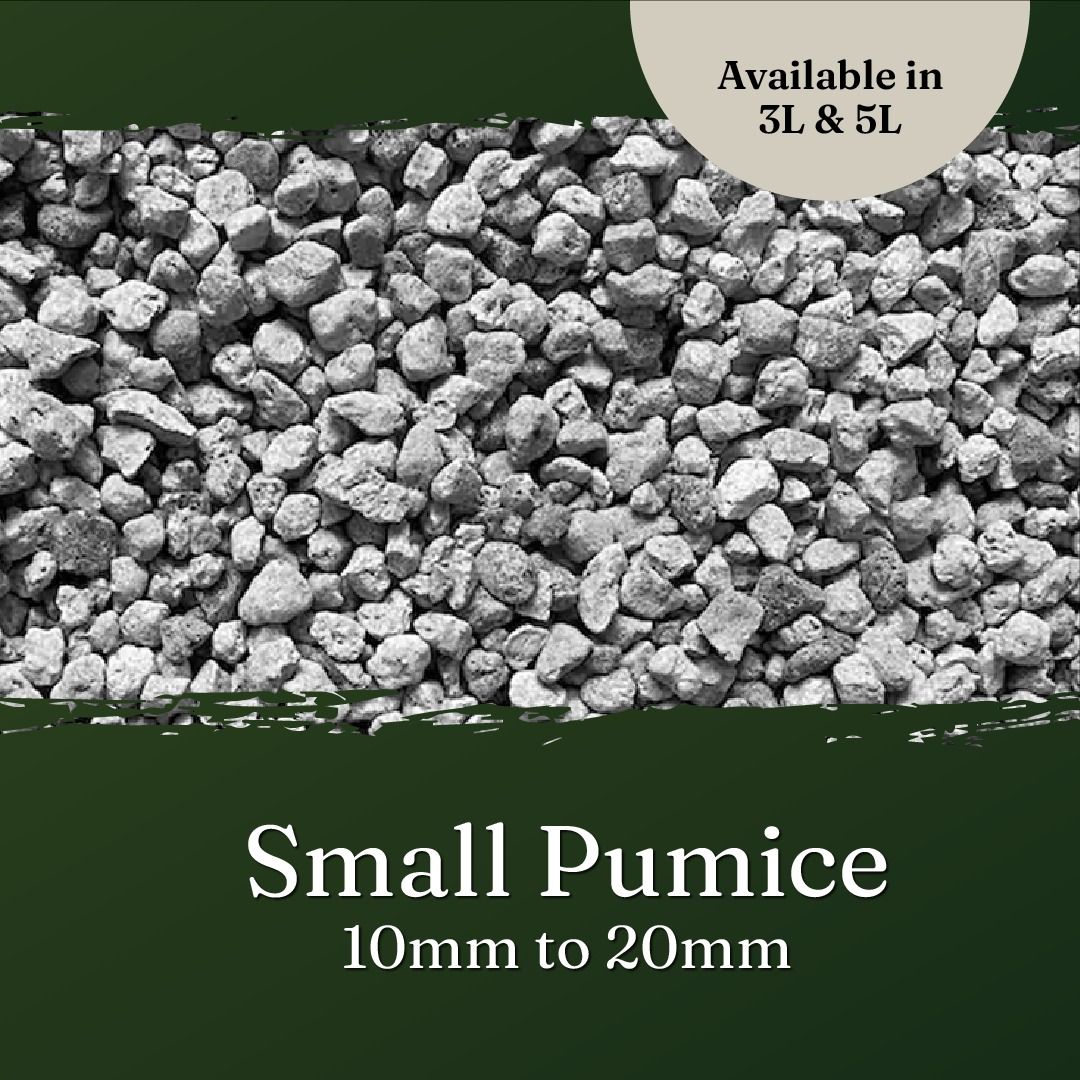 Perlite, Pine Bark, Pumice, Coco Peat, LECA (Good for Aroid, Orchid ...