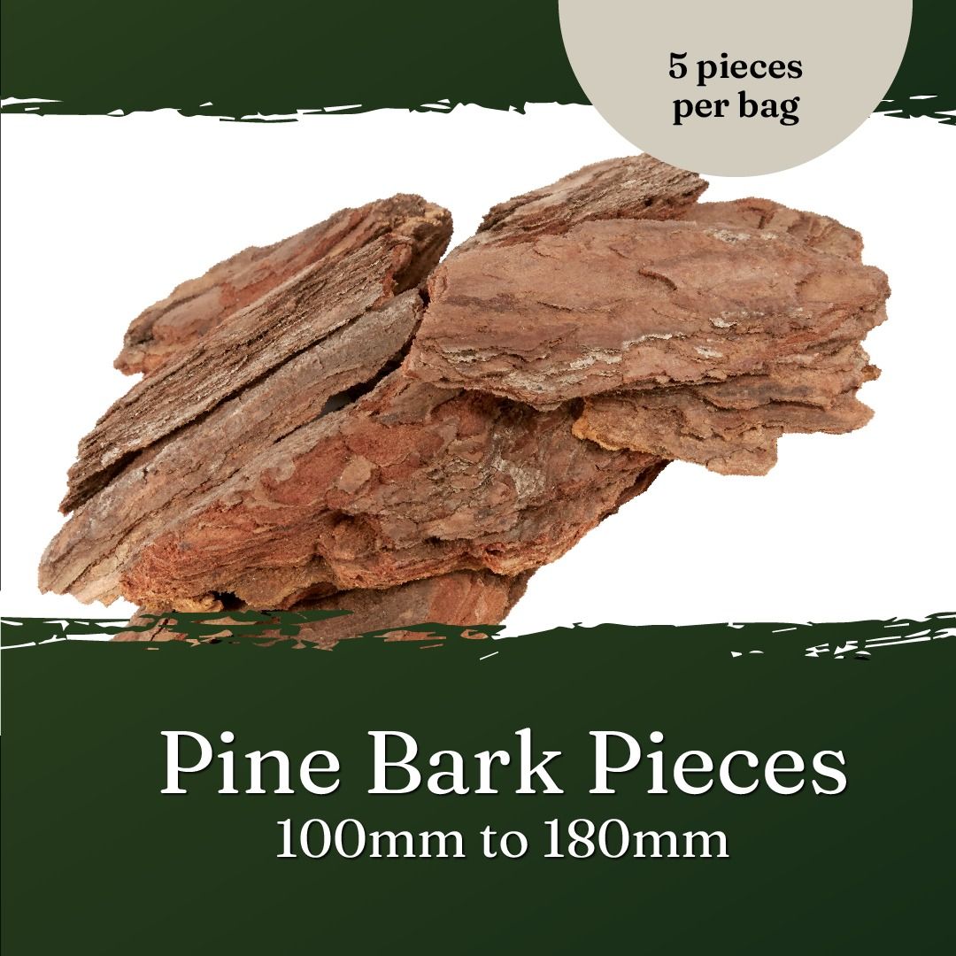 Perlite, Pine Bark, Pumice, Coco Peat, LECA (Good for Aroid, Orchid ...