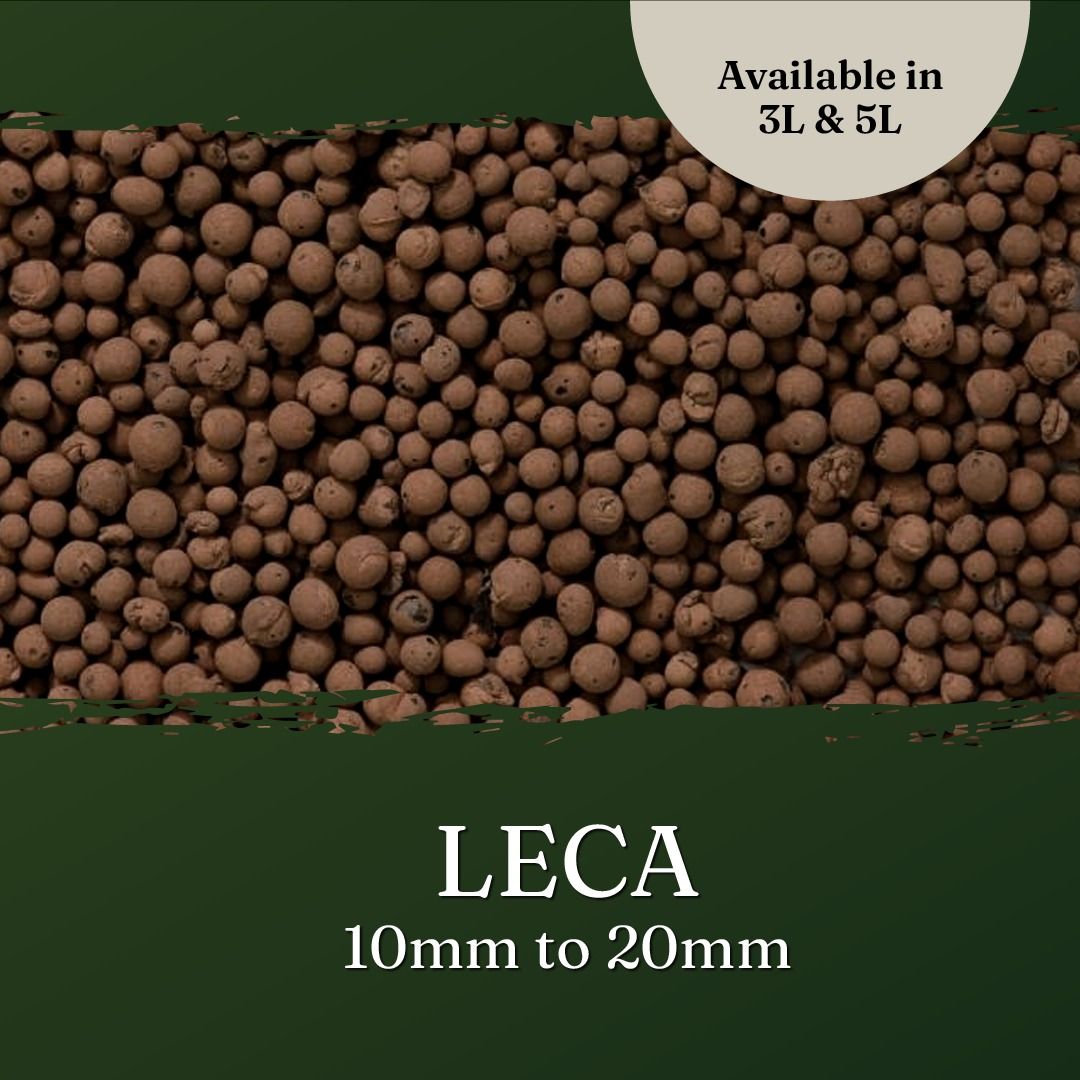 Perlite, Pine Bark, Pumice, Coco Peat, LECA (Good for Aroid, Orchid ...