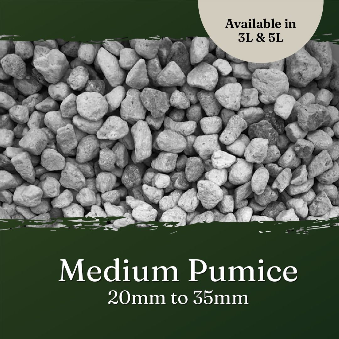 Perlite, Pine Bark, Pumice, Coco Peat, LECA (Good for Aroid, Orchid ...