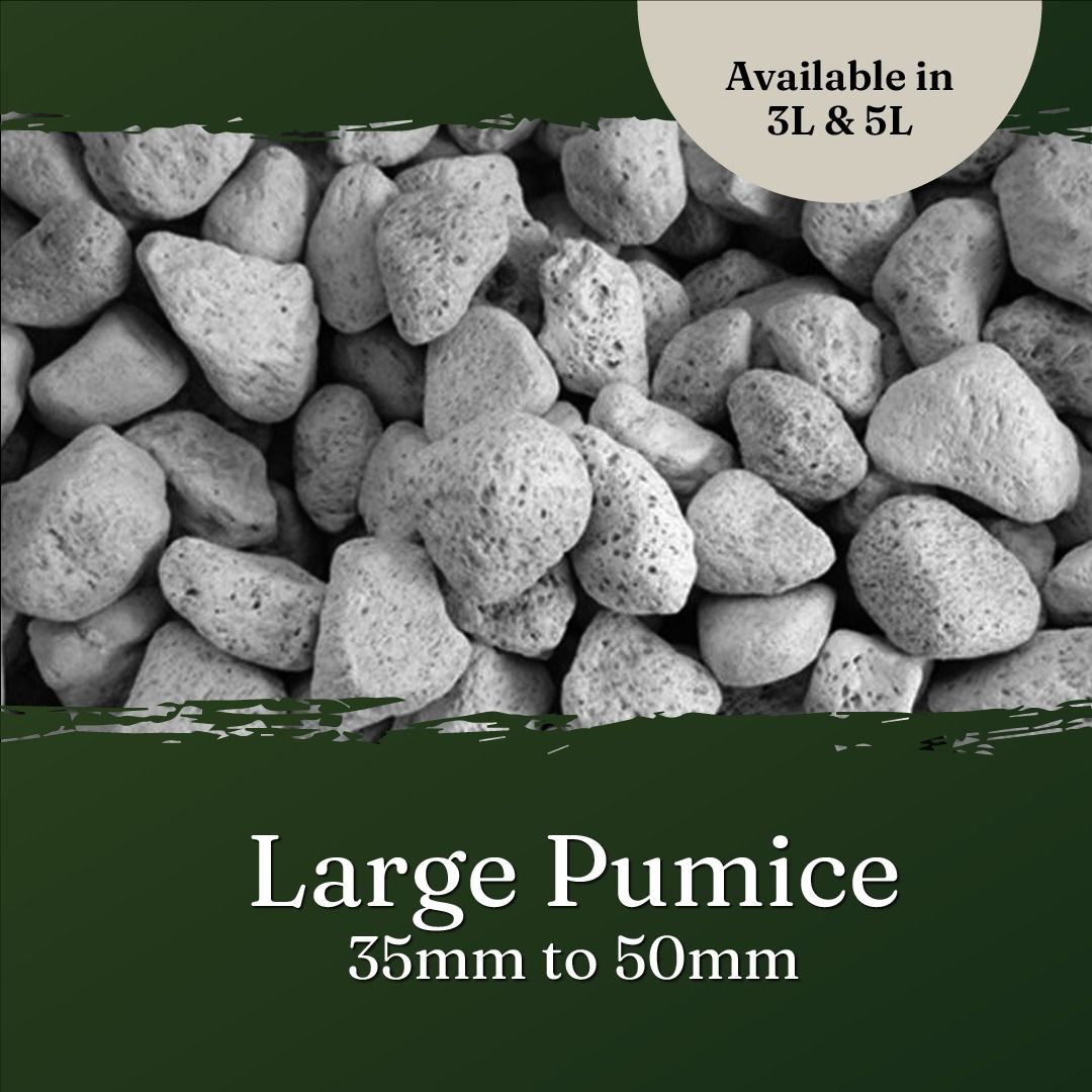 Perlite, Pine Bark, Pumice, Coco Peat, LECA (Good for Aroid, Orchid ...