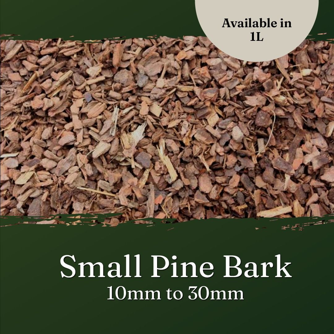 Perlite, Pine Bark, Pumice, Coco Peat, LECA (Good for Aroid, Orchid ...