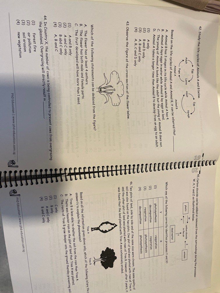 Primary 6 PSLE Science exam package, Hobbies & Toys, Books & Magazines ...