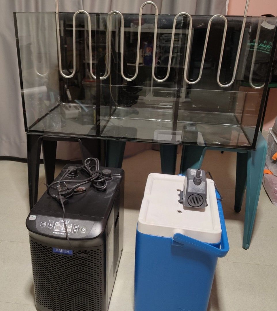 3ft (90cm) Tank and Chiller set (aquarium for shrimps, fish), Pet ...