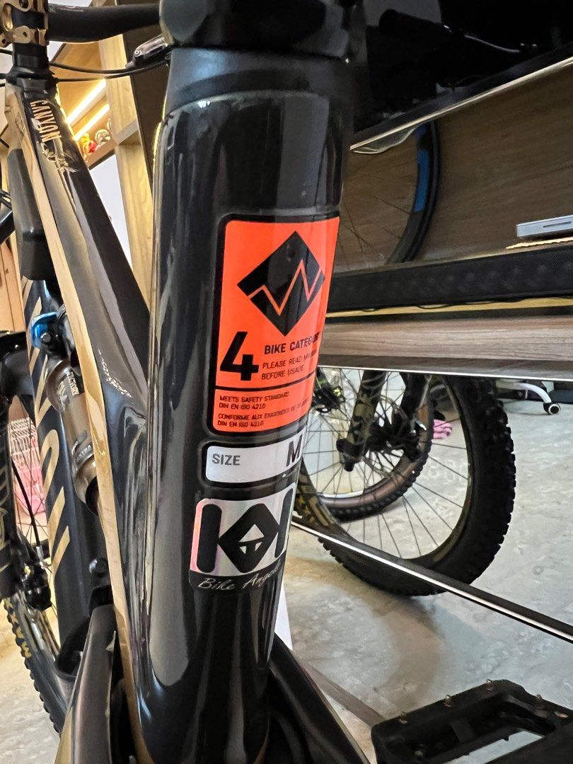 CANYON SPECTRAL CF9 Full carbon MTB, Sports Equipment, Bicycles & Parts ...