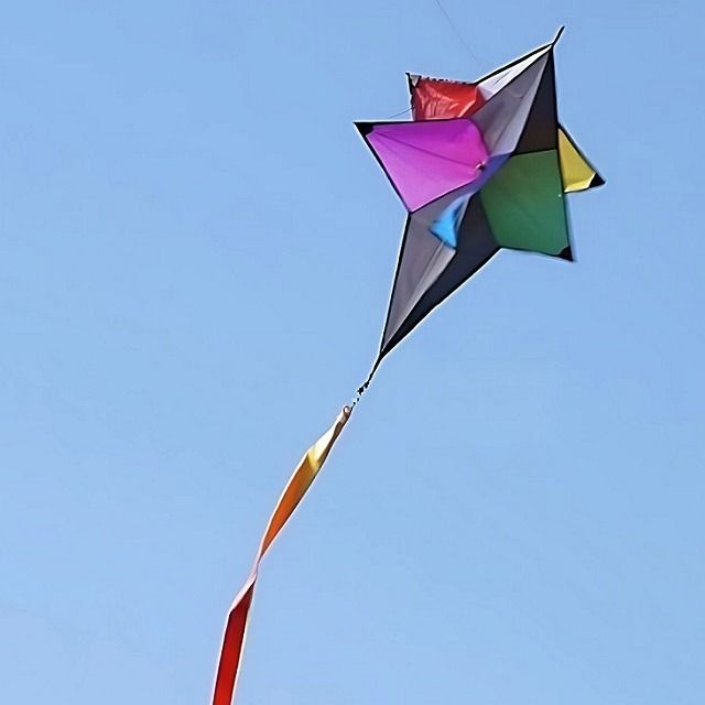 HQ Hoffmann's Kinetic Jewel Kite (Code : SF2), Sports Equipment, Sports ...
