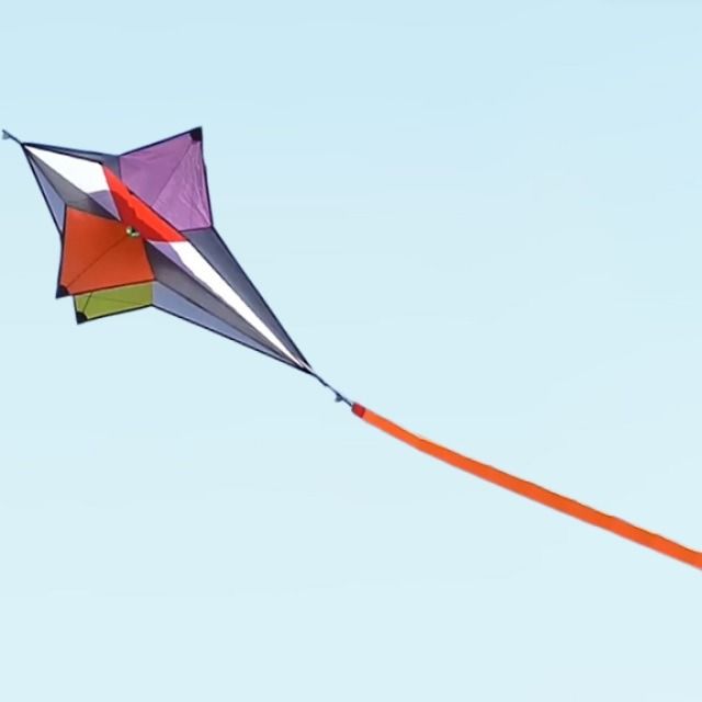 HQ Hoffmann's Kinetic Jewel Kite (Code : SF2), Sports Equipment, Sports ...