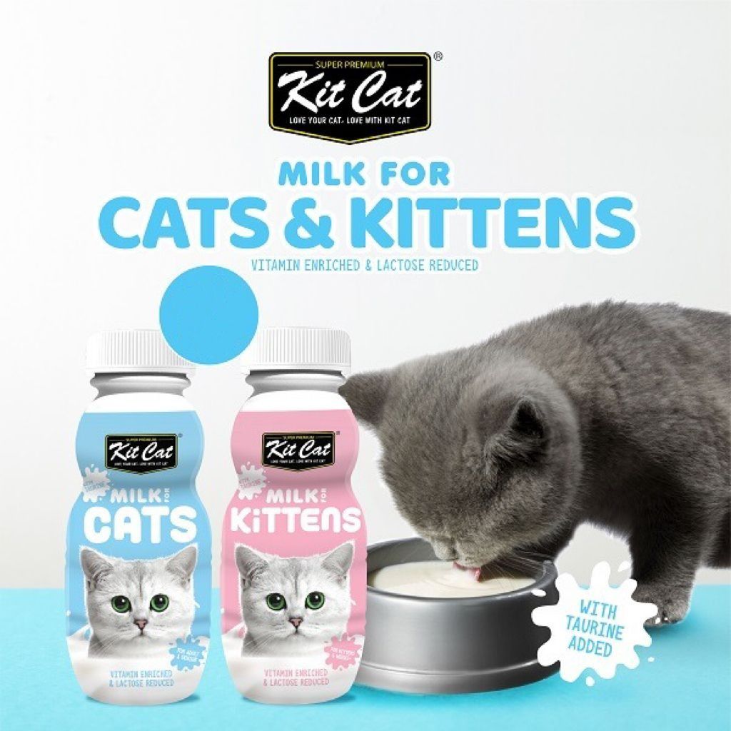 Kit Cat Kitten Milk Adult Cat Milk Senior Cat Milk 250ml non cat cage ...
