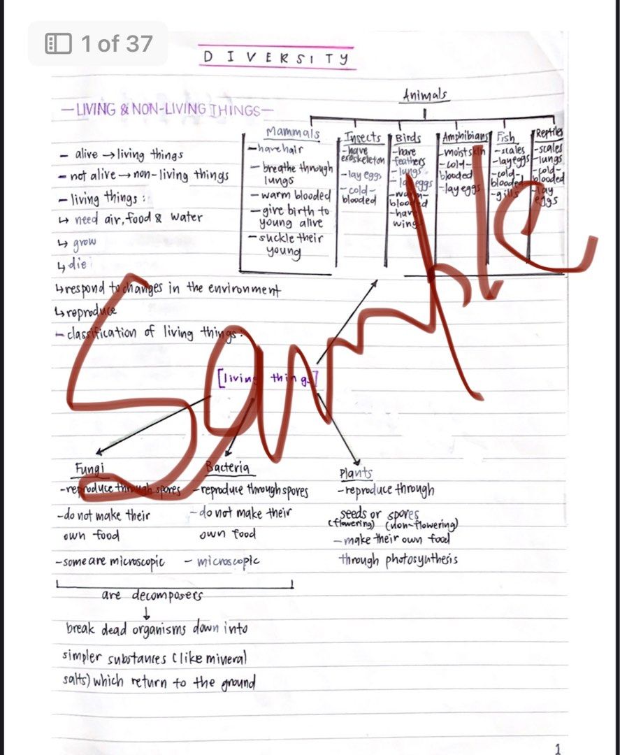 PSLE P6 Handwritten science short notes, Hobbies & Toys, Books ...