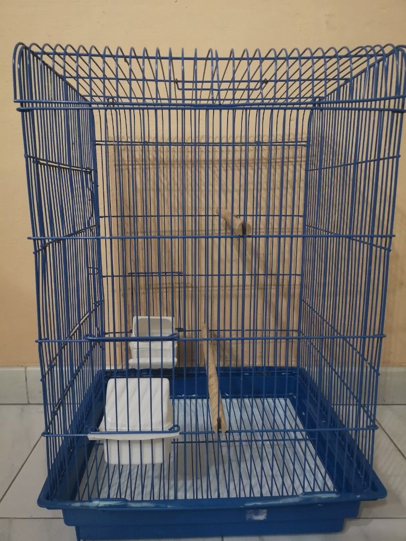 (Unique Blue) bird cage, Pet Supplies, Homes & Other Pet Accessories on ...