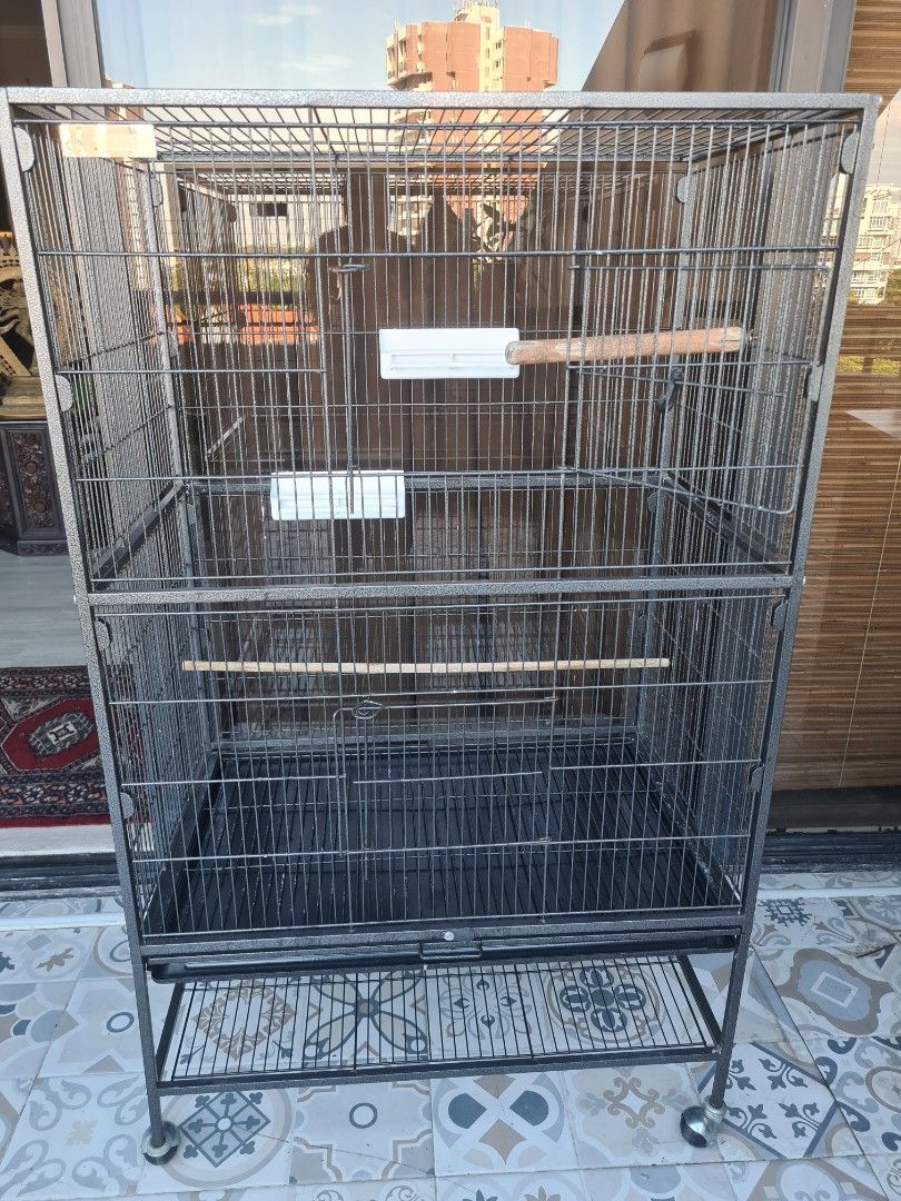 Vivohome 53 inches Wrought Iron Large Bird cage, Pet Supplies, Homes ...