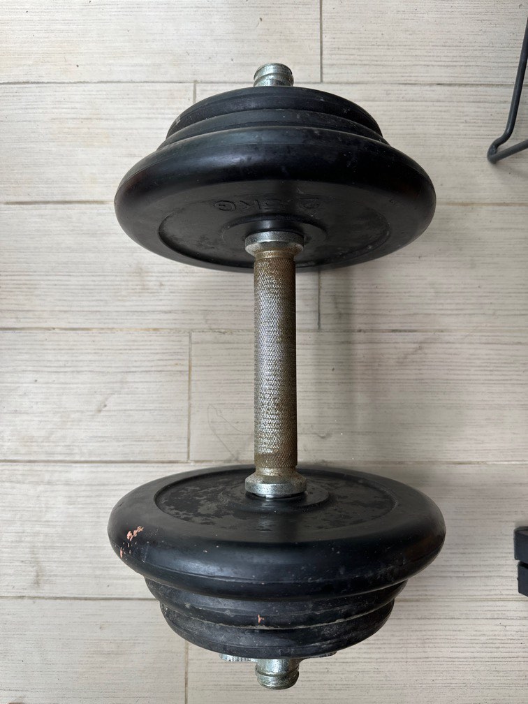 Weights 13kg, Sports Equipment, Exercise & Fitness, Weights & Dumbbells ...