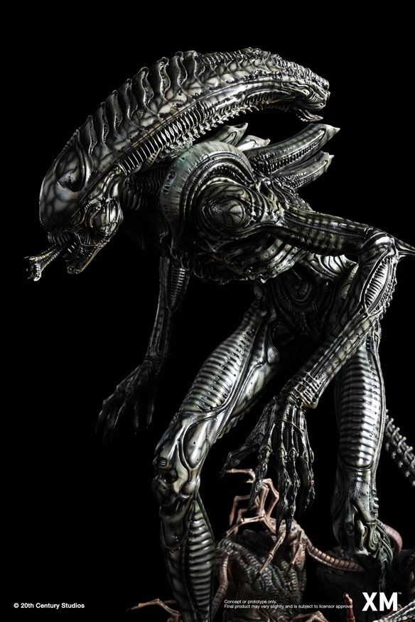 XM Studios Supreme Scale Statue: Alien Hive - Warrior (Black Variant ...