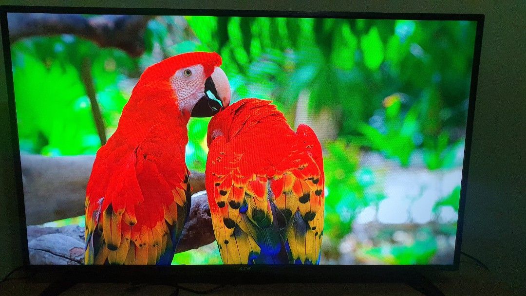 ACE Basic HDTV 43 inch For sale, TV & Home Appliances, TV ...