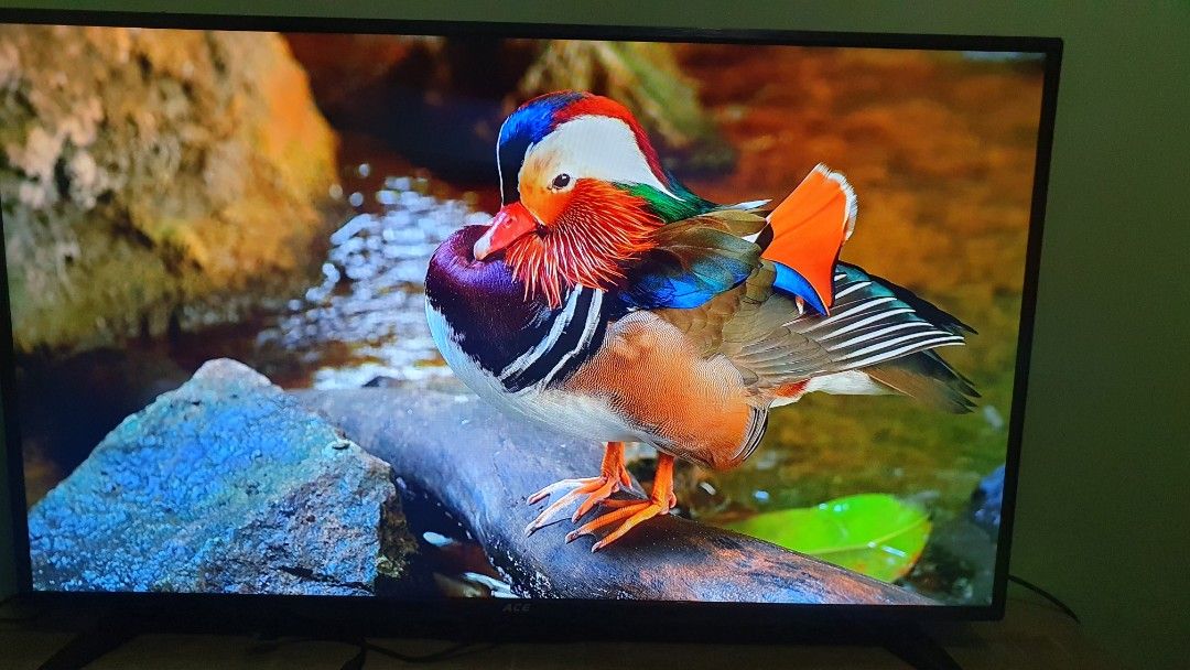 ACE Basic HDTV 43 inch For sale, TV & Home Appliances, TV ...