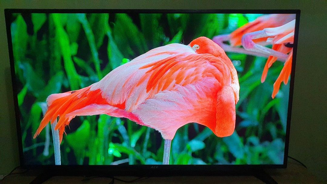 ACE Basic HDTV 43 inch For sale, TV & Home Appliances, TV ...
