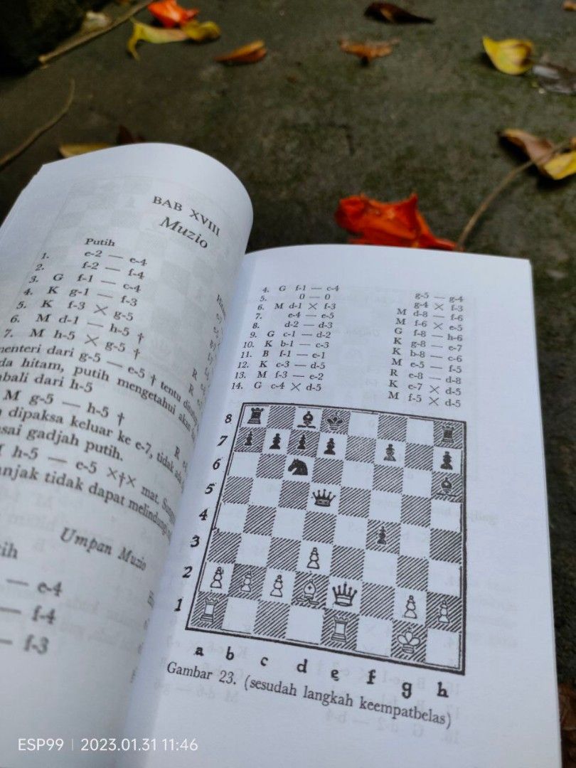 Buku kunci catur karya Juara Indonesia Baris Hutagalung, Buku & Alat Tulis, Buku di Carousell