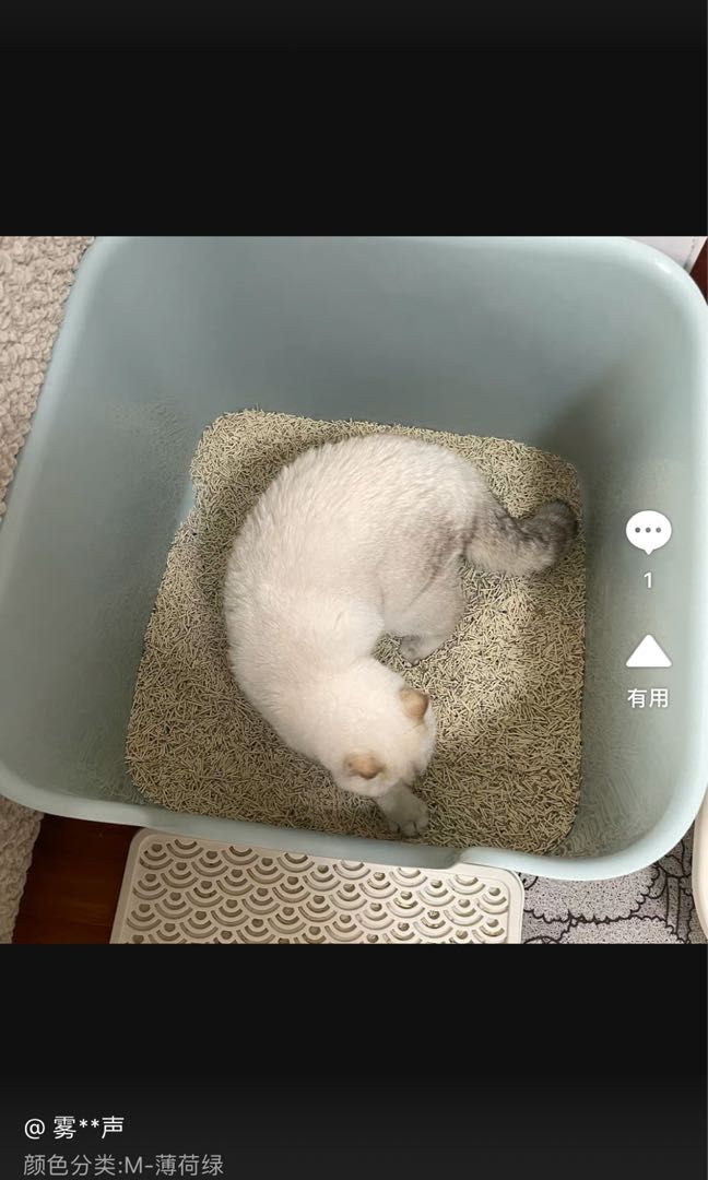 Cat litter box huge large jumbo DUIT Korean brand, Pet Supplies, Homes ...
