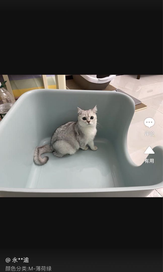 Cat litter box huge large jumbo DUIT Korean brand, Pet Supplies, Homes ...