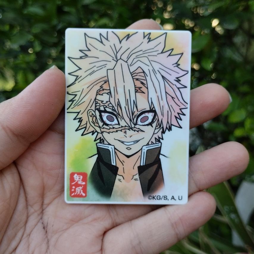 Demon Slayer Wind Hashira Sanemi Shinazugawa Magnet, Hobbies & Toys ...