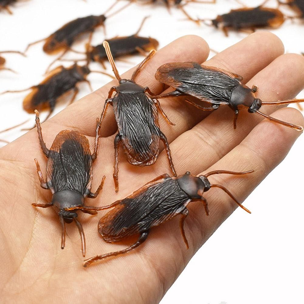 Fake cockroach prank Halloween creepy crawly plastic toy cockroach pest ...