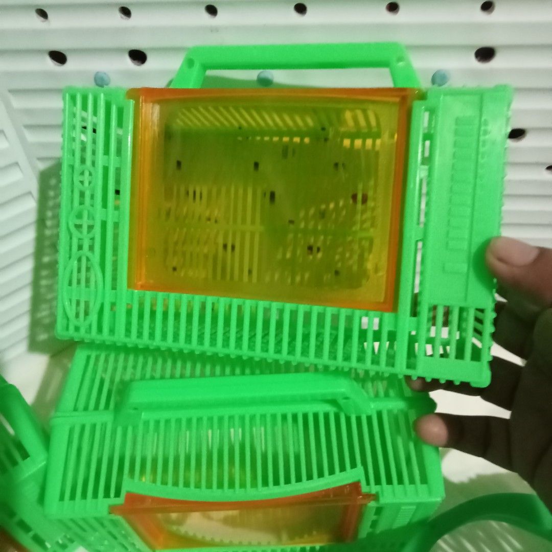 JAPAN INSECT/BIRD CAGES 6's, Hobbies & Toys, Toys & Games on Carousell