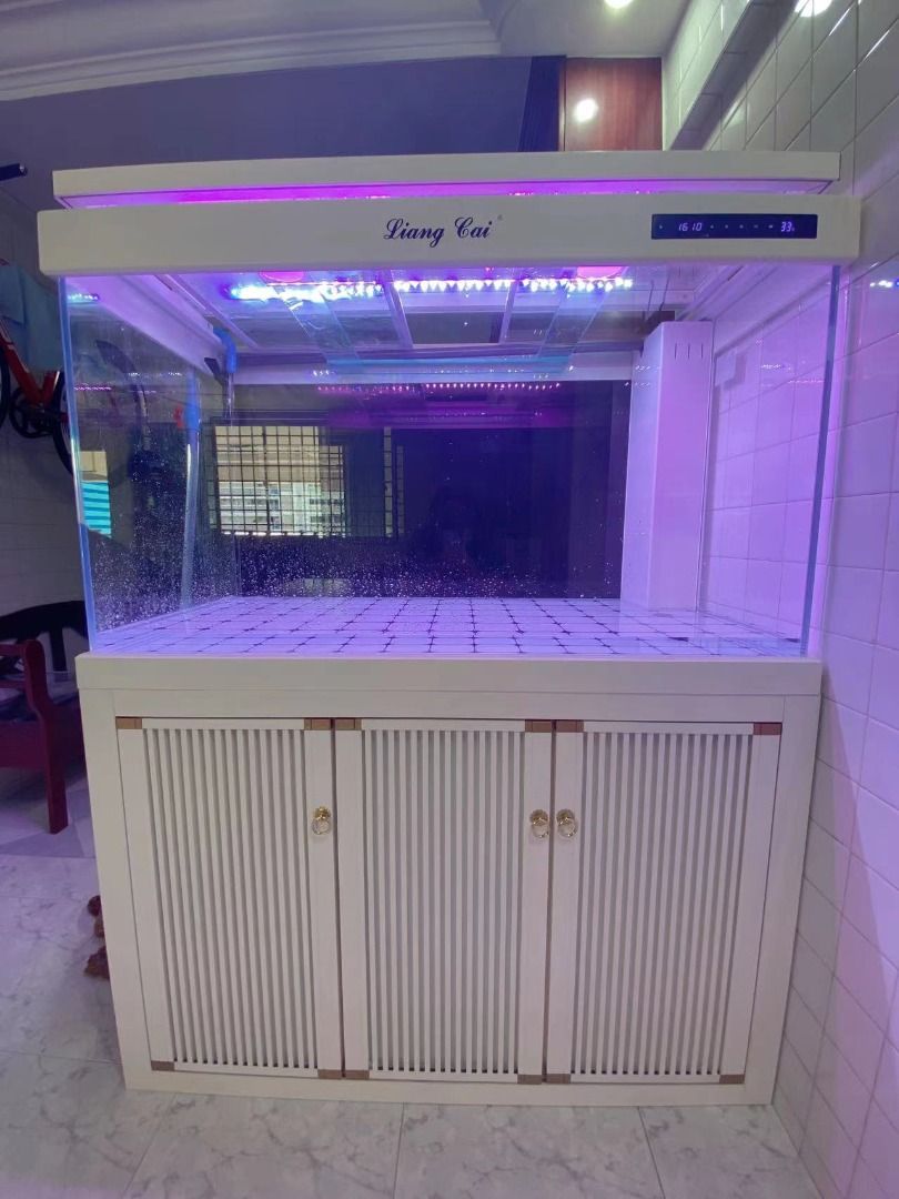 Panoramic view of the Arowana Fish Tank with full set sump system(ready ...