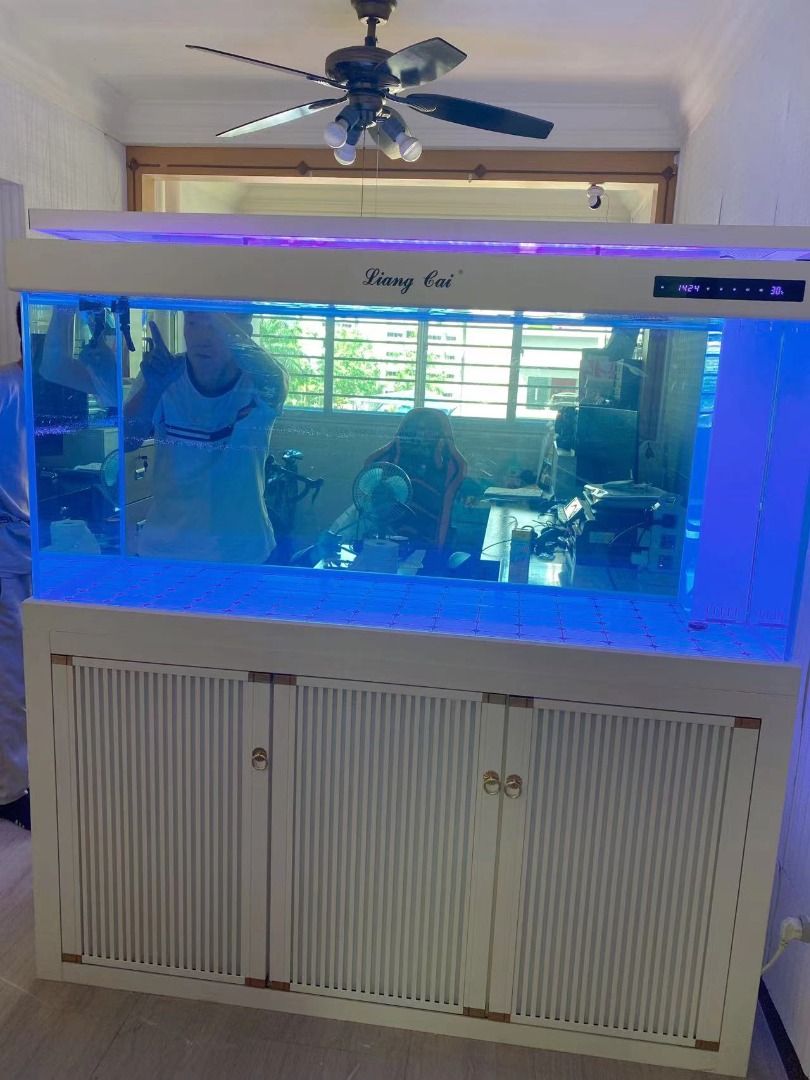 Panoramic view of the Arowana Fish Tank with full set sump system(ready ...