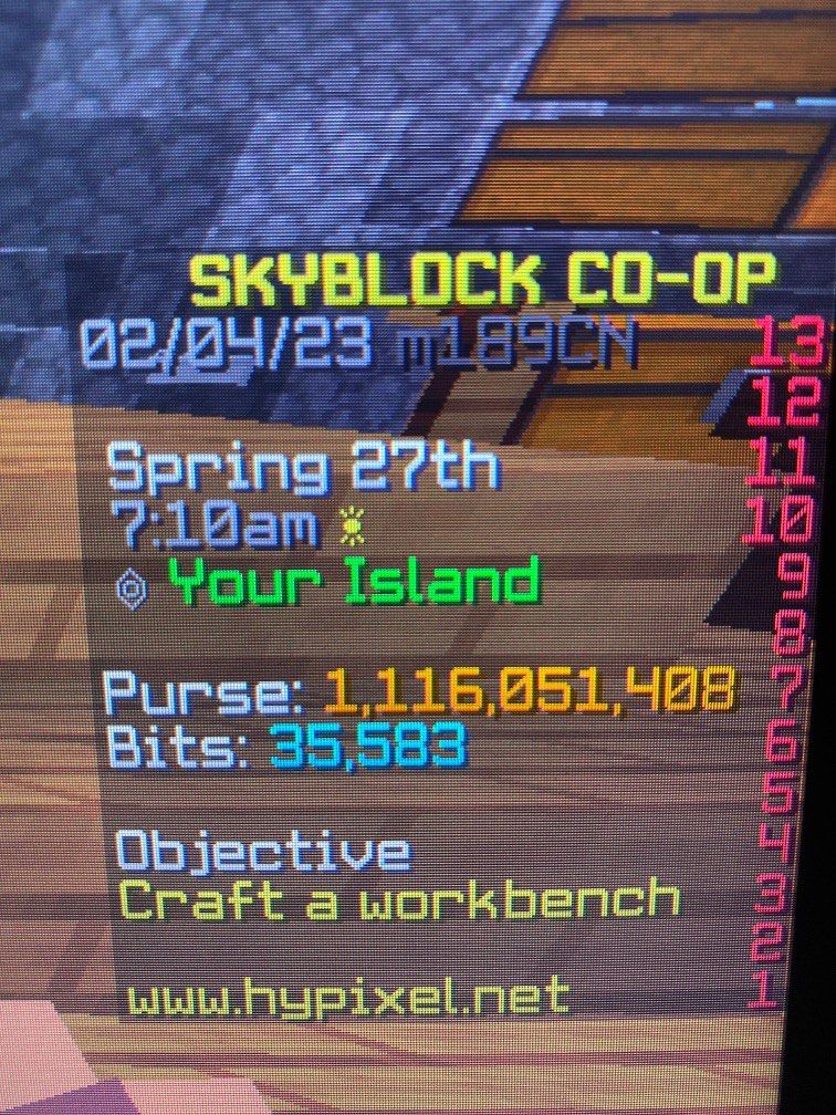 Skyblock Hypixel Coins, Video Gaming, Gaming Accessories, In-Game ...