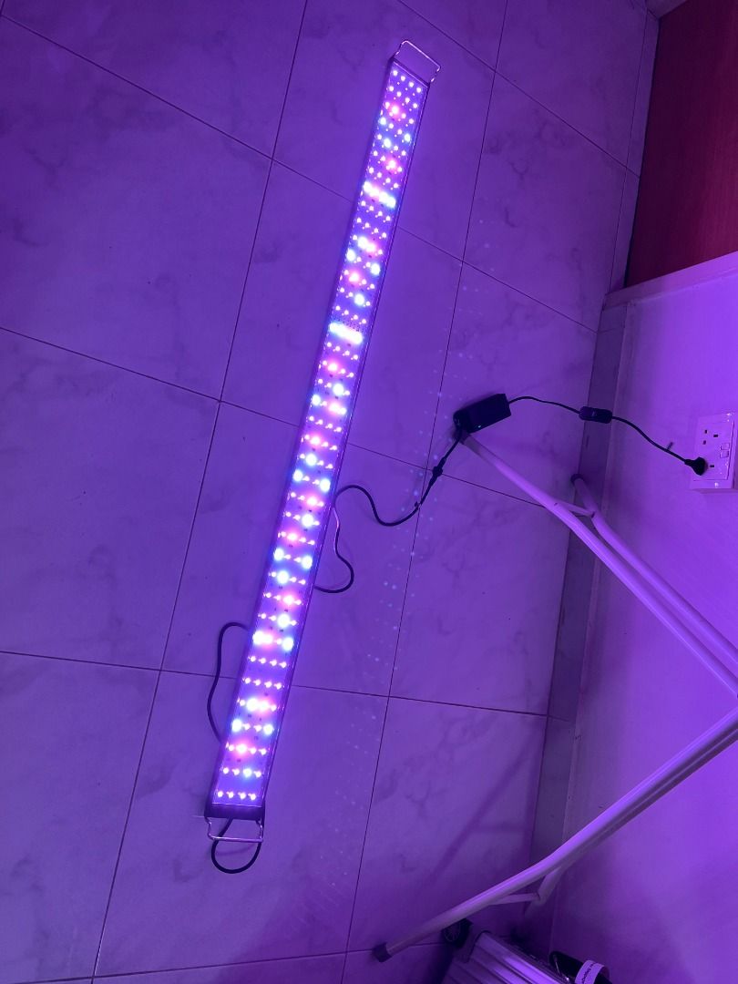 5FT LED Aquazonic Arowana Tanning Light , Pet Supplies, Homes & Other ...