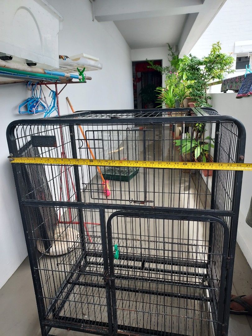 Bird Cage/ Cat Cage, Pet Supplies, Homes & Other Pet Accessories on Carousell