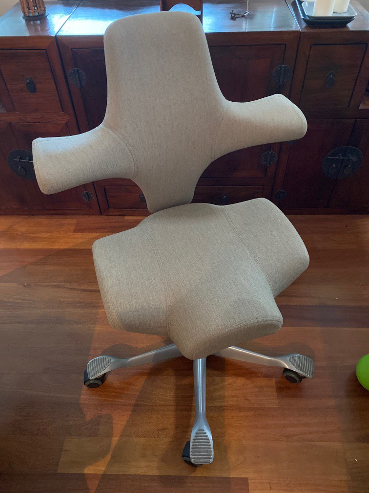 Hag Capisco - designer ergonomic modern office chair, Furniture & Home ...